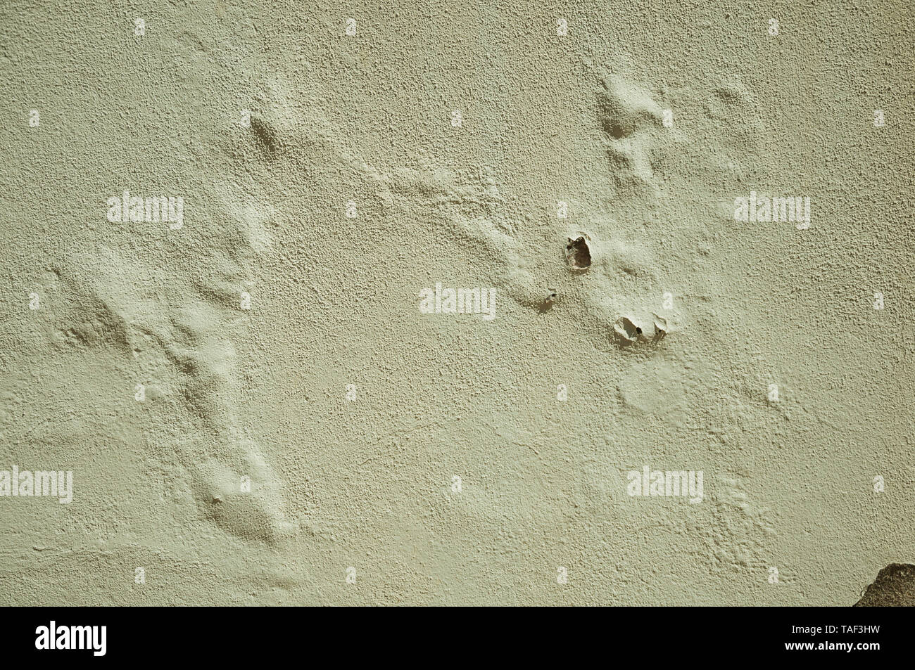 Wall covered by rough plaster with bubbles of mold and peeled, forming ...