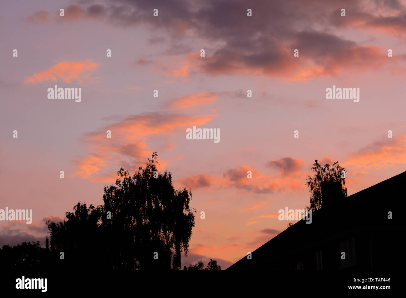 Row of houses in sunset on suburban street Stock Photo - Alamy