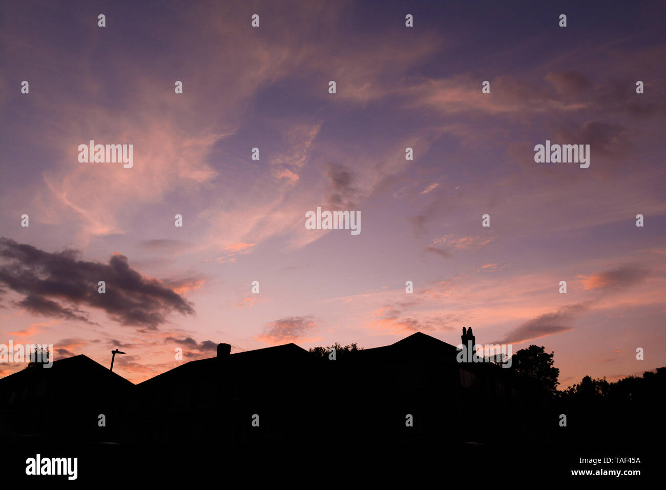 Row of houses in sunset on suburban street Stock Photo - Alamy