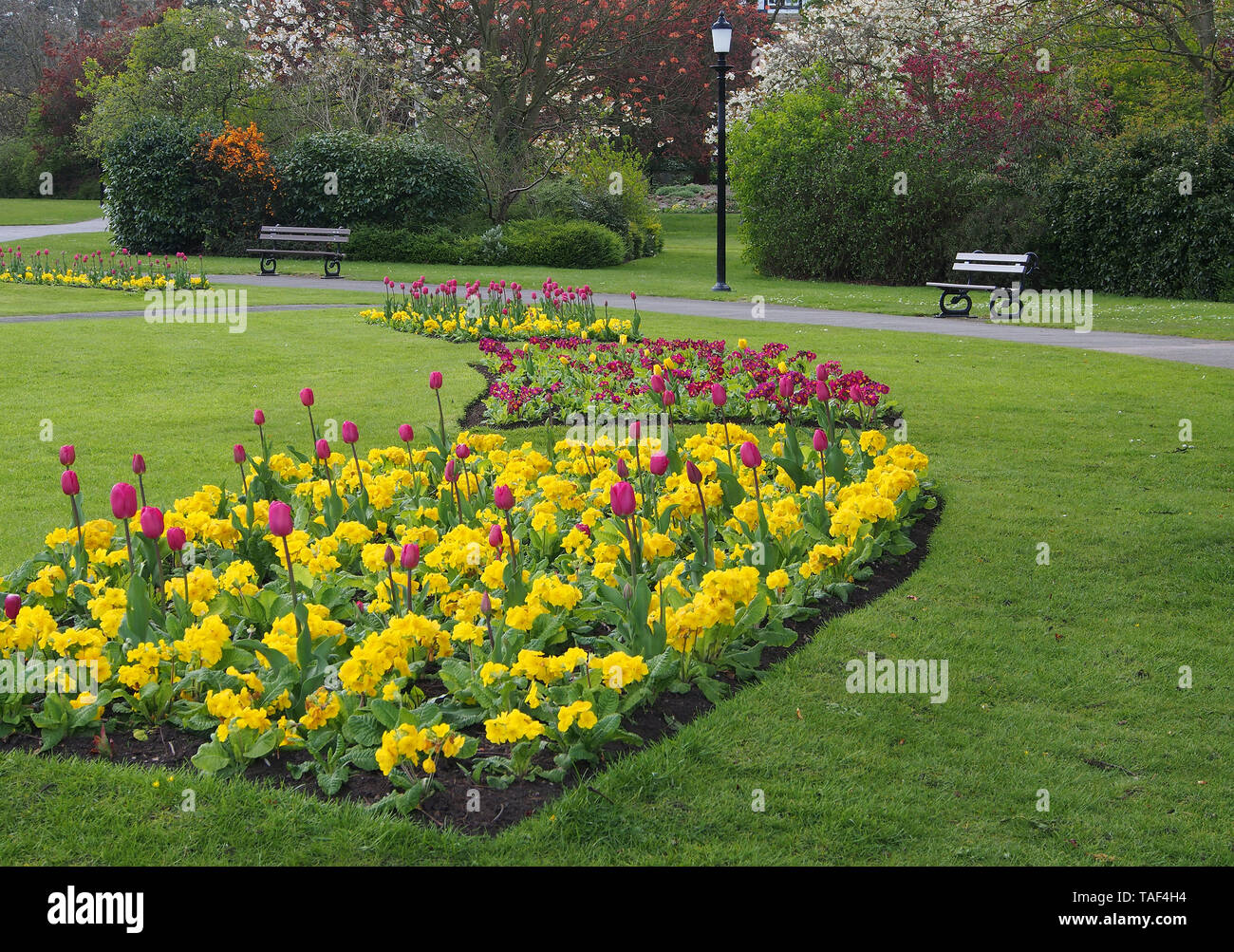 Spring harrogate springtime hi-res stock photography and images - Alamy