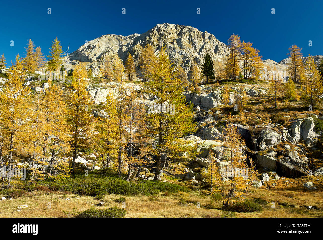 Shear fault hi-res stock photography and images - Alamy