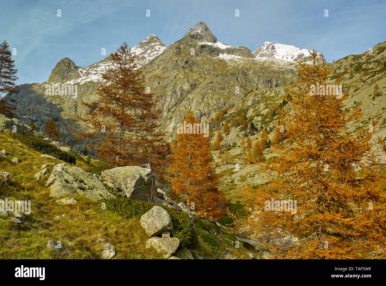 Gordolasque hi-res stock photography and images - Alamy