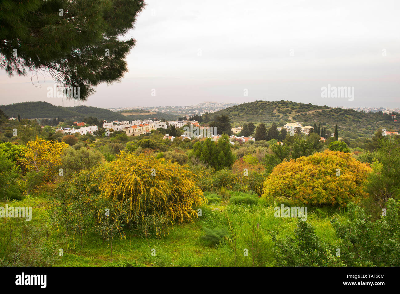 Karmi northern cyprus hi-res stock photography and images - Alamy