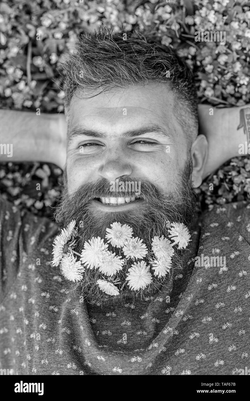 Dandelion top view Black and White Stock Photos & Images - Alamy