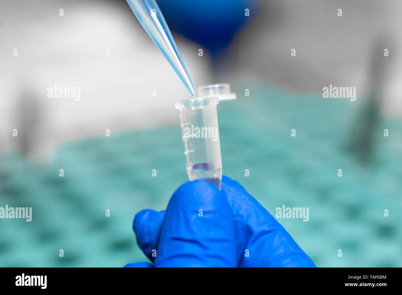 Closeup laboratory assistant analyzing a blood sample using ...