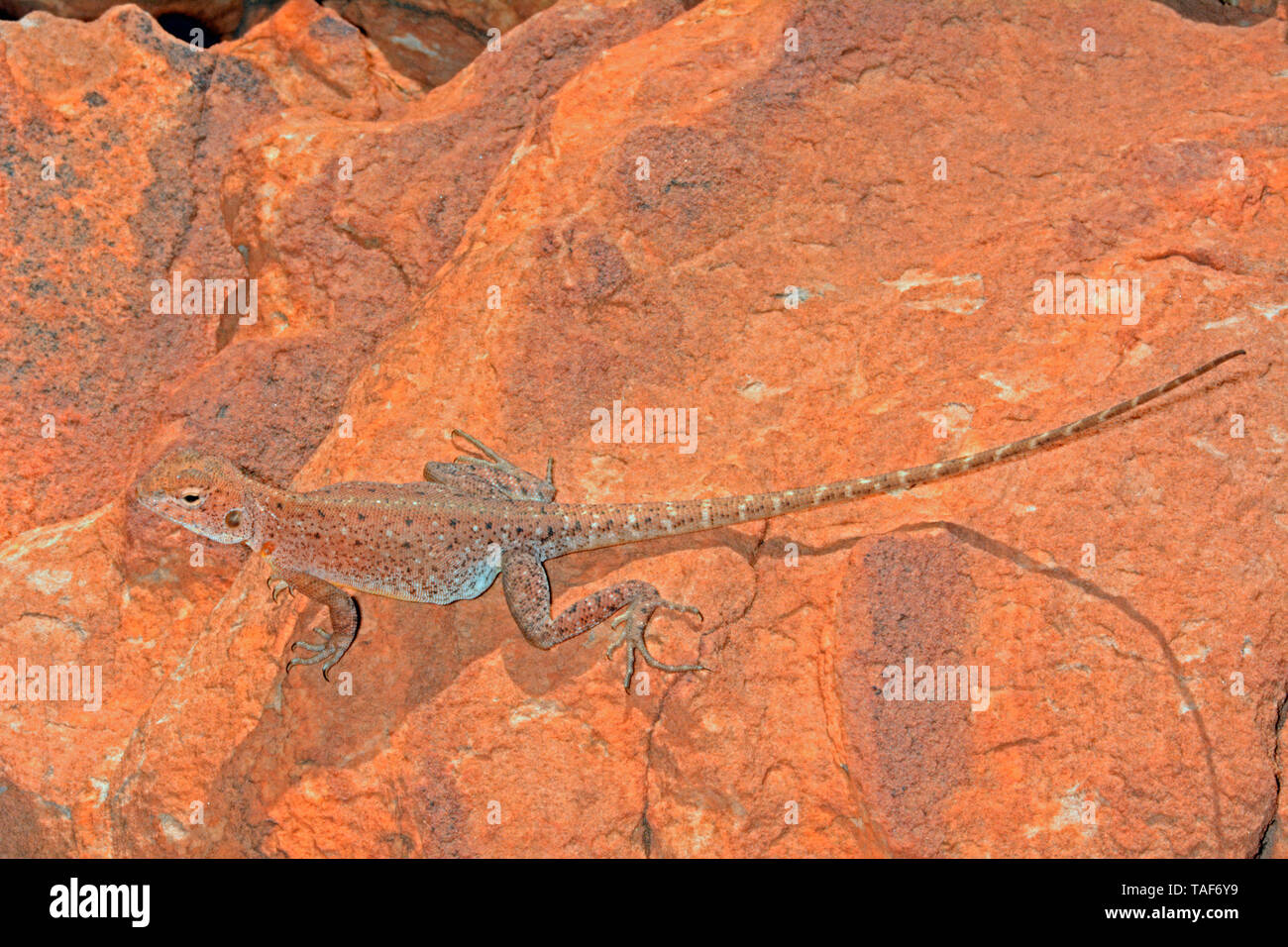 Fragment Of Nt High Resolution Stock Photography and Images - Alamy