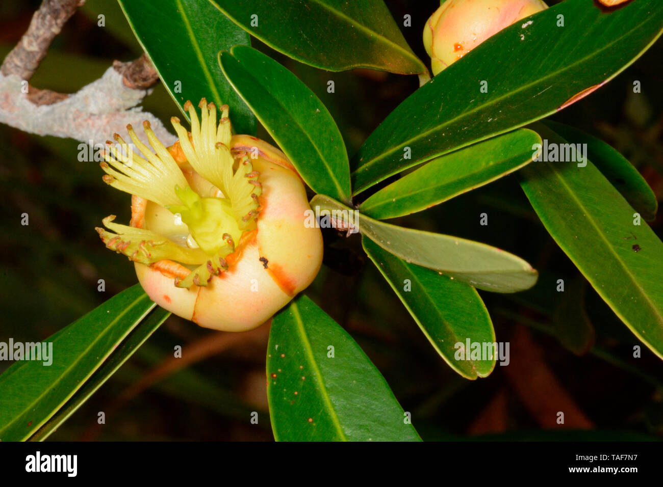 River anatomy hi-res stock photography and images - Alamy