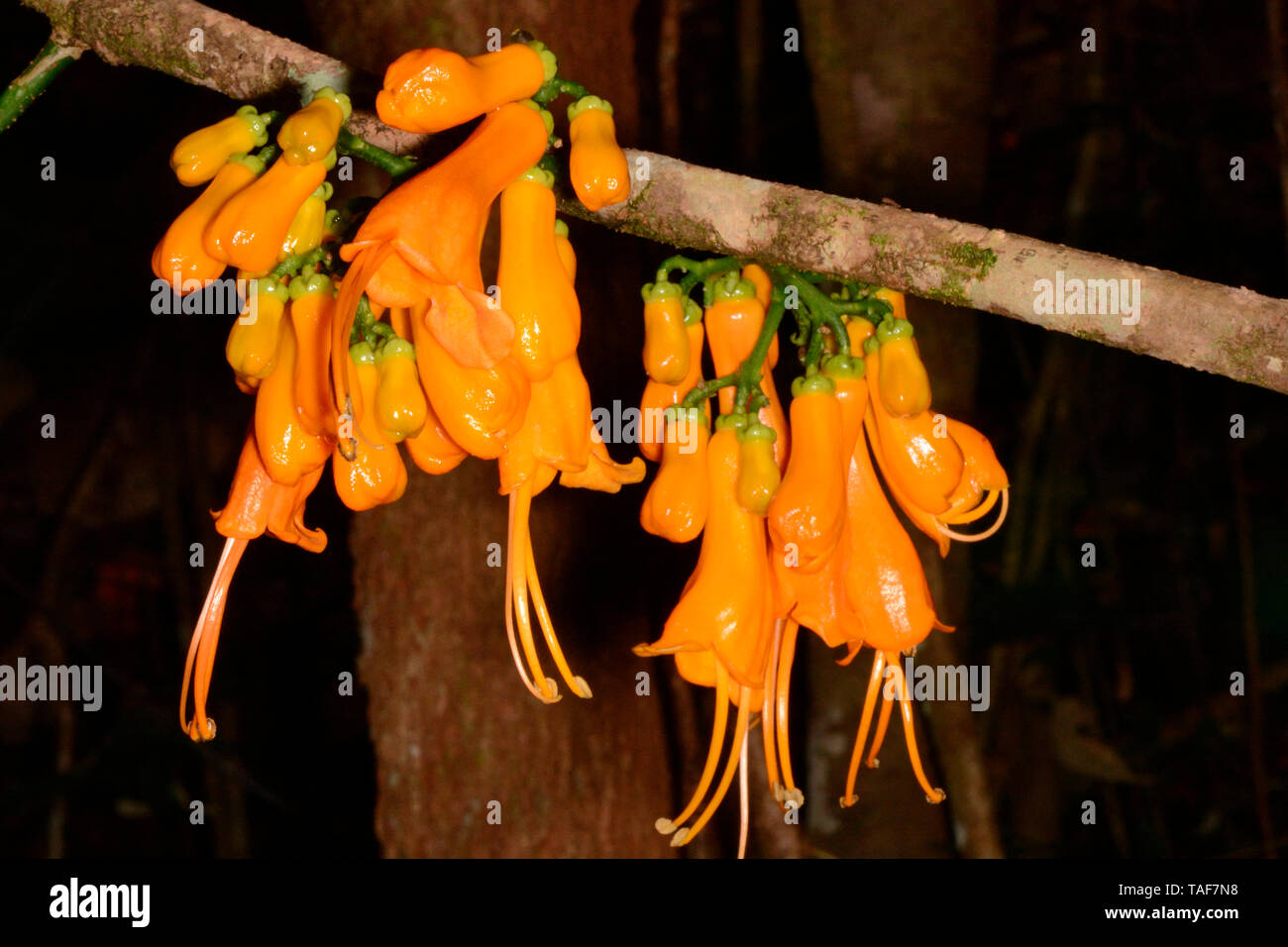 River anatomy hi-res stock photography and images - Alamy