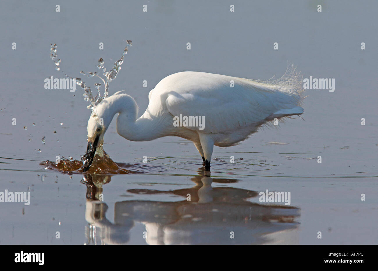 Fishing normandy hi-res stock photography and images - Alamy