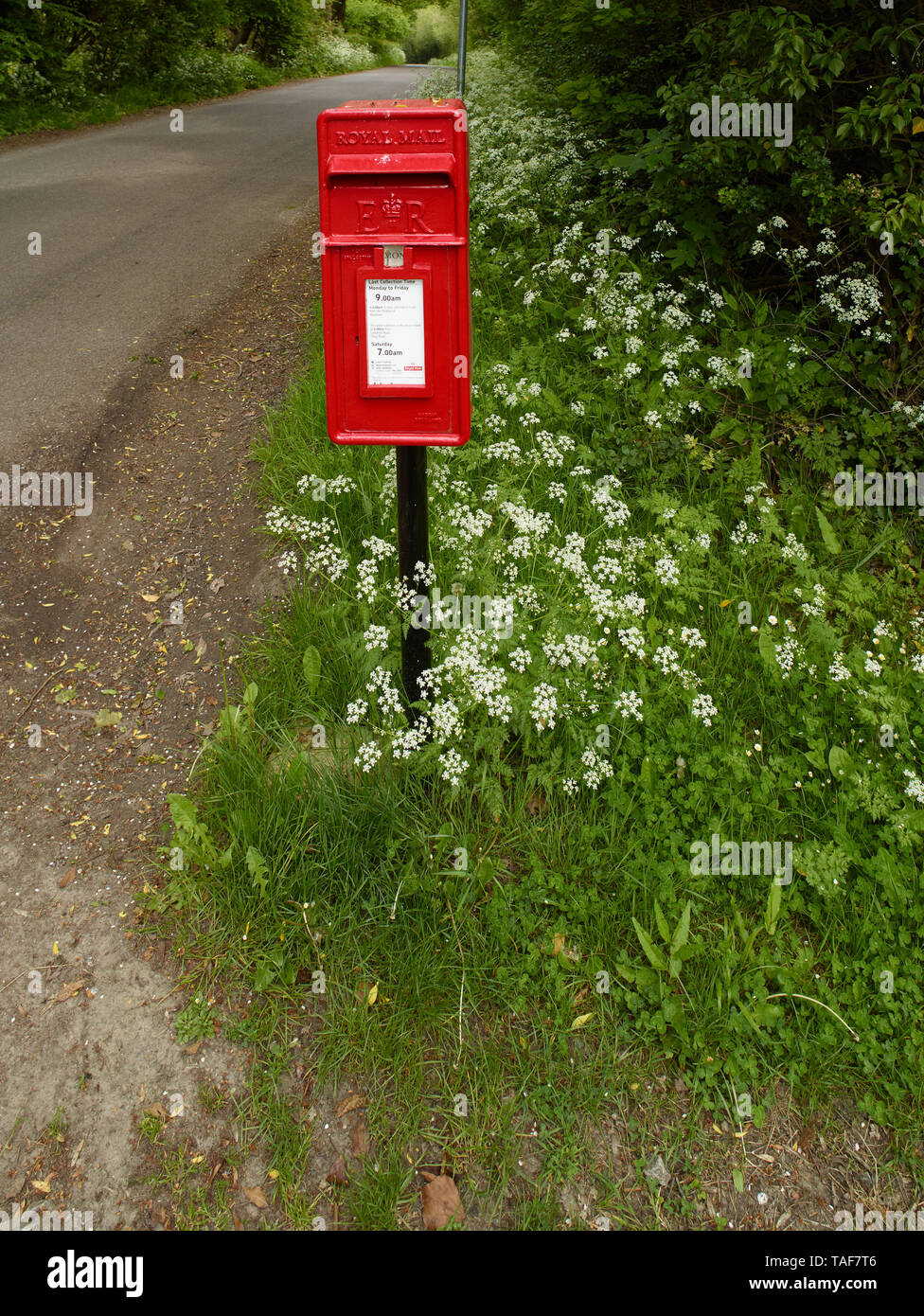 Cow mailbox hi-res stock photography and images - Alamy