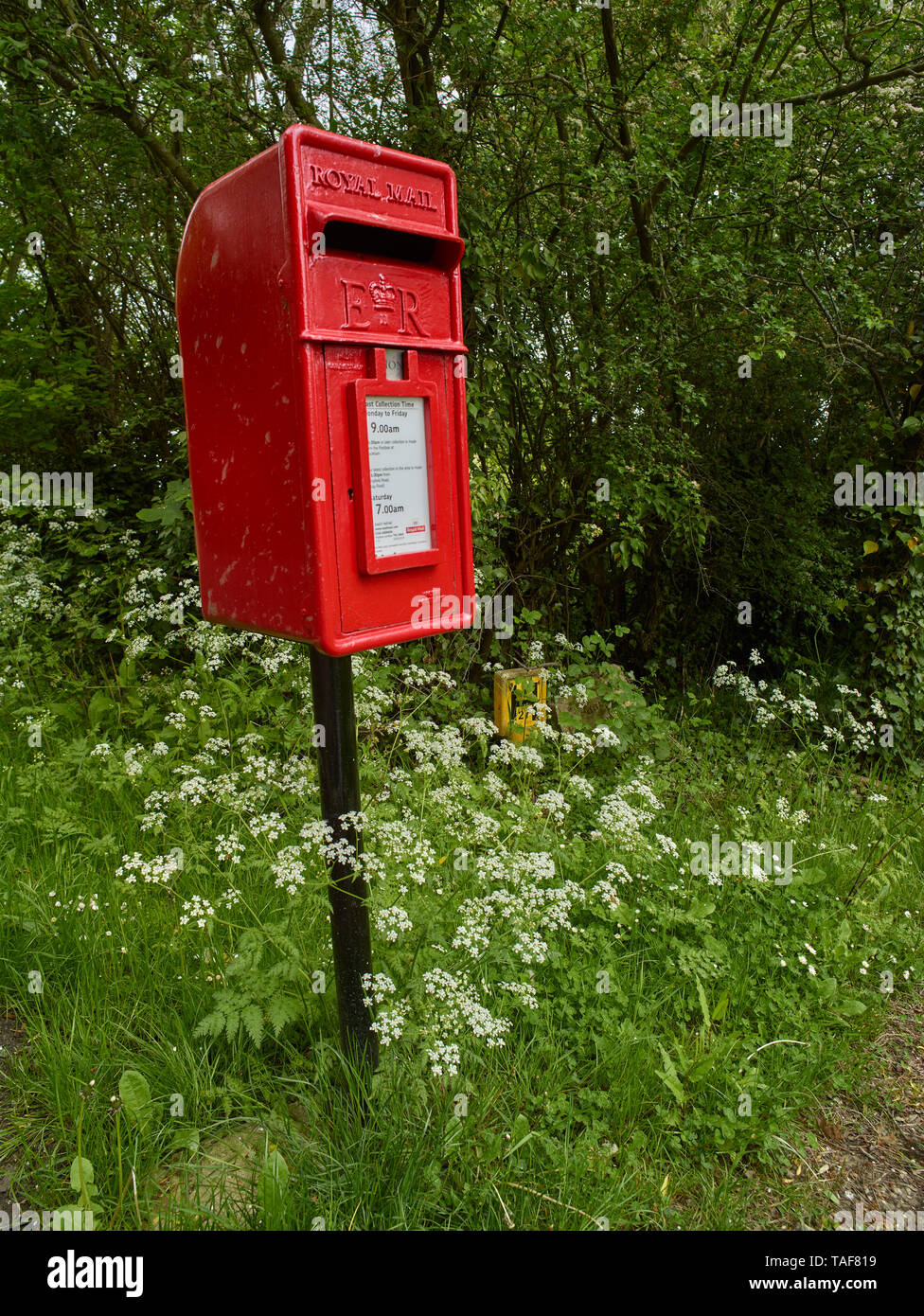 Cow mailbox hi-res stock photography and images - Alamy