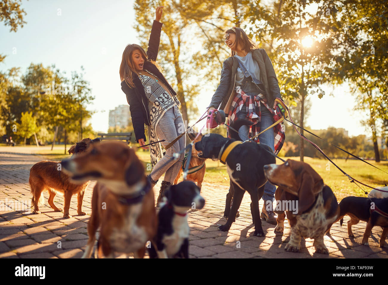 Happy girls enjoying with dogs while walking outdoors Stock Photo - Alamy