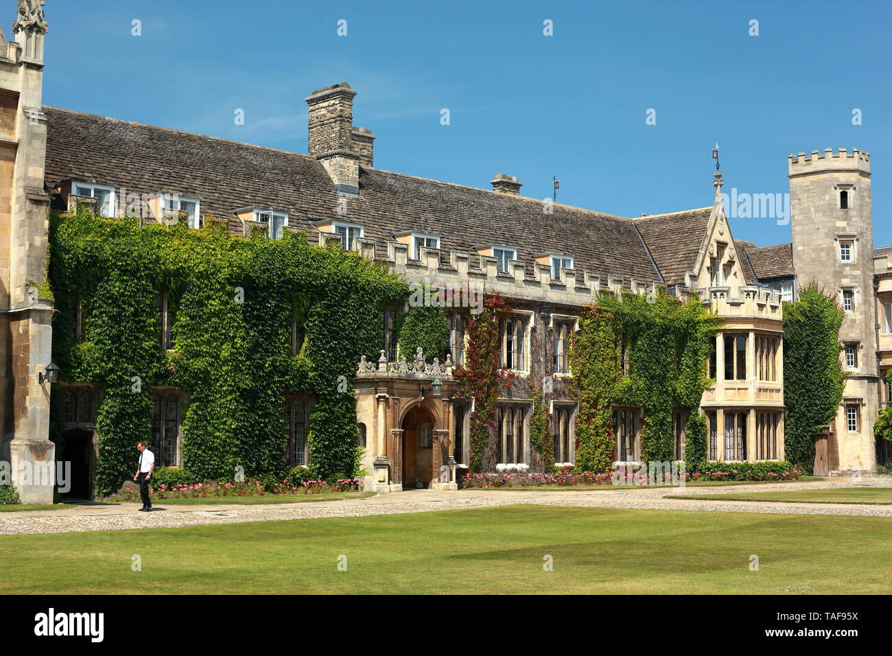 Newton tree trinity college hi-res stock photography and images - Alamy