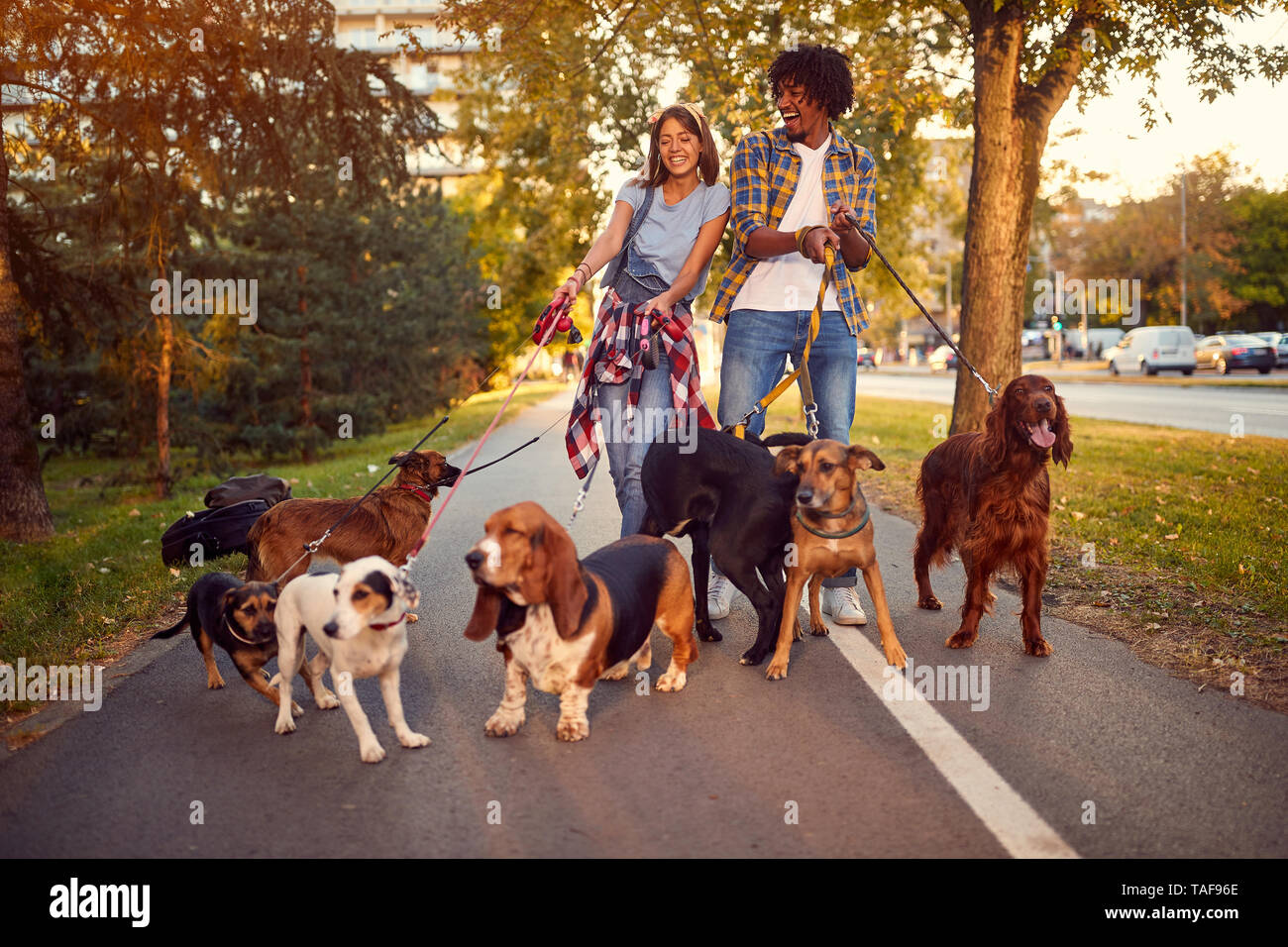 Woman man dog happy hi-res stock photography and images - Alamy