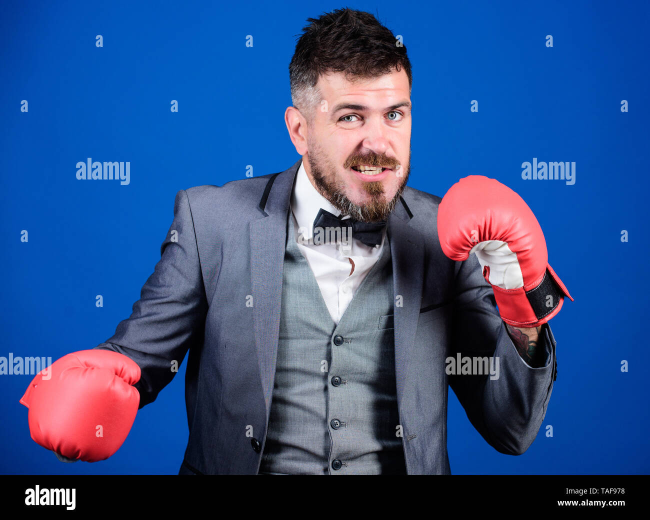 Never give up boxer hi-res stock photography and images - Alamy