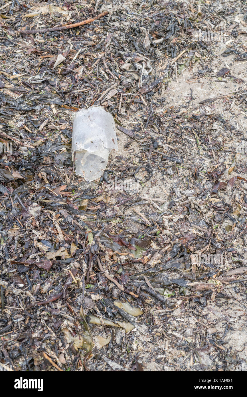 Some sort of plastic packaging rubbish washed ashore on the tide and ...