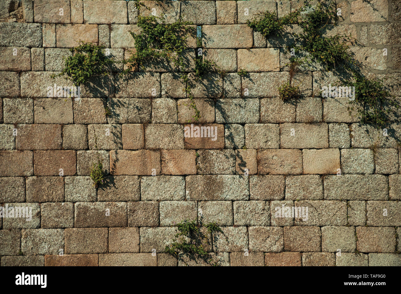 Slits in stone wall hi-res stock photography and images - Alamy