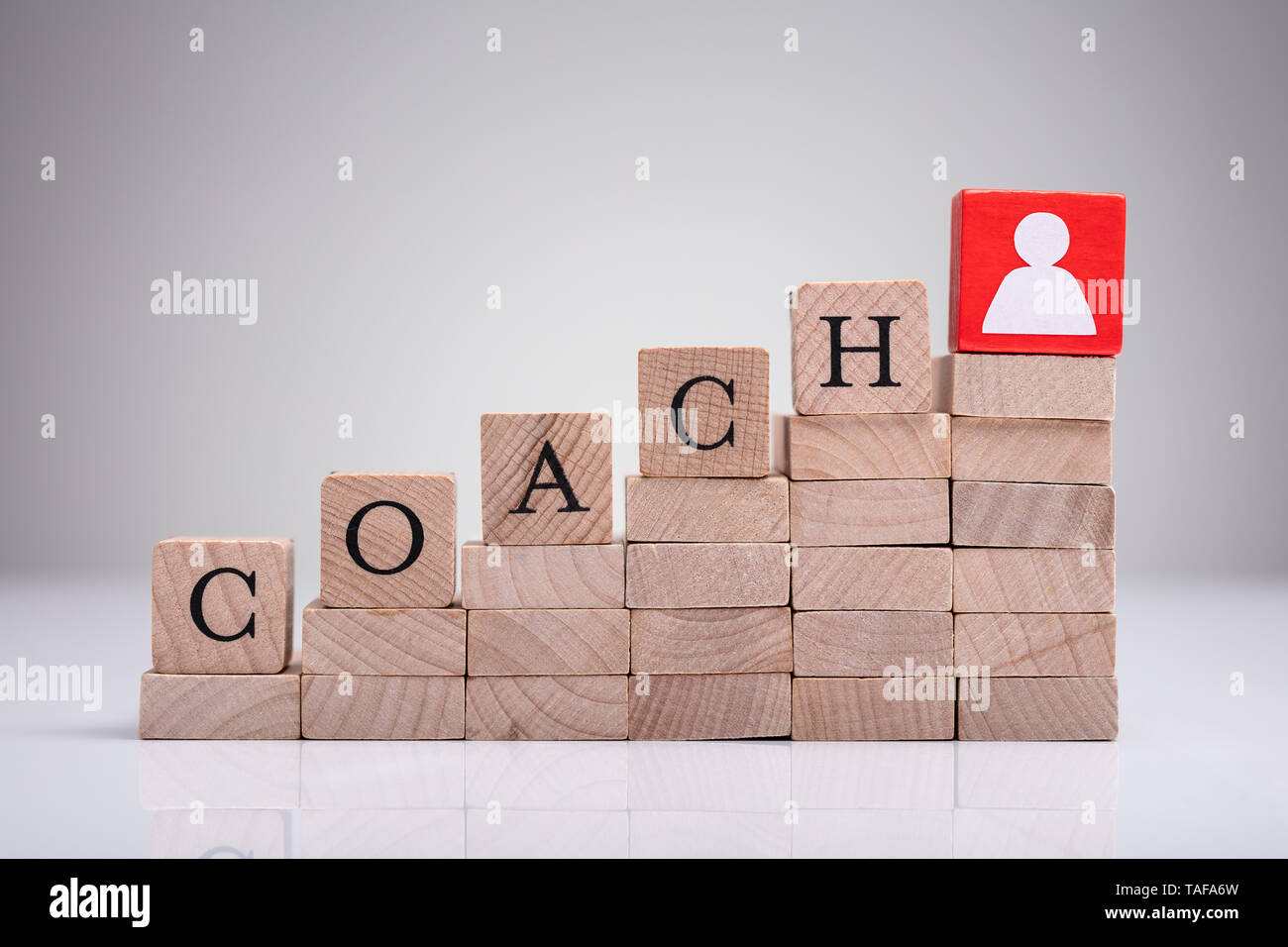 Backdrop still life hi-res stock photography and images - Alamy