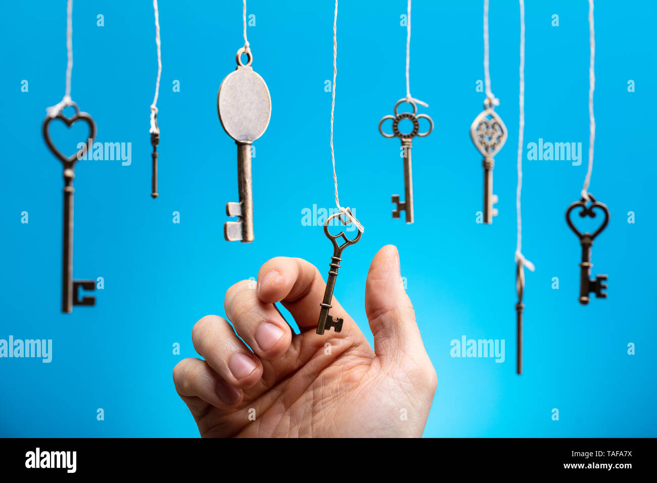 Competitive advantage hi-res stock photography and images - Alamy