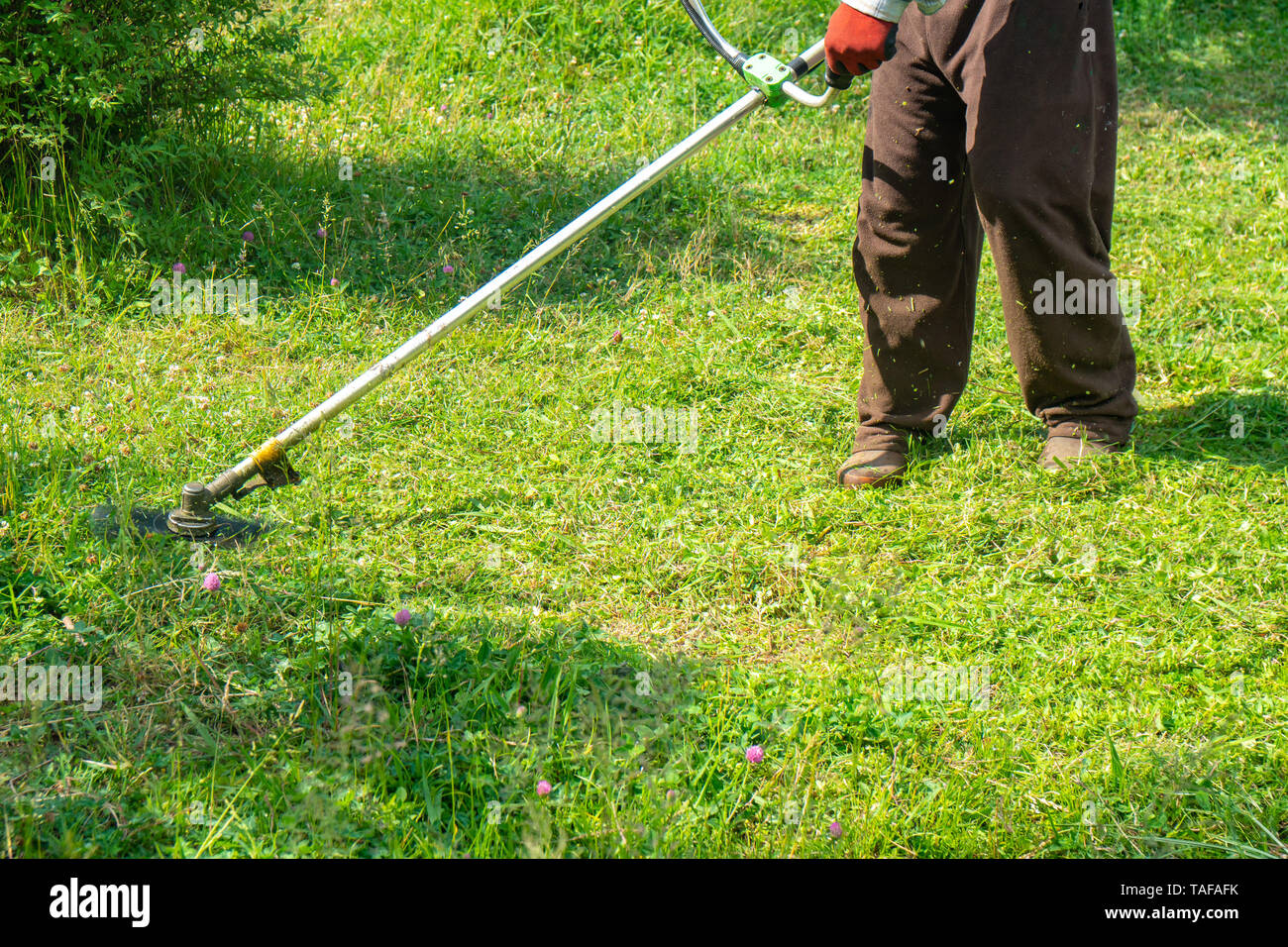 The gardener cutting grass by lawn mower, lawn care. Nature Stock Photo ...