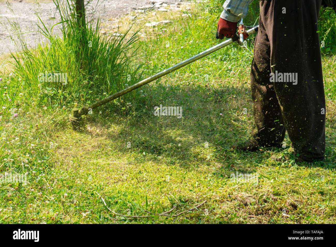 The gardener cutting grass by lawn mower, lawn care. Nature Stock Photo ...