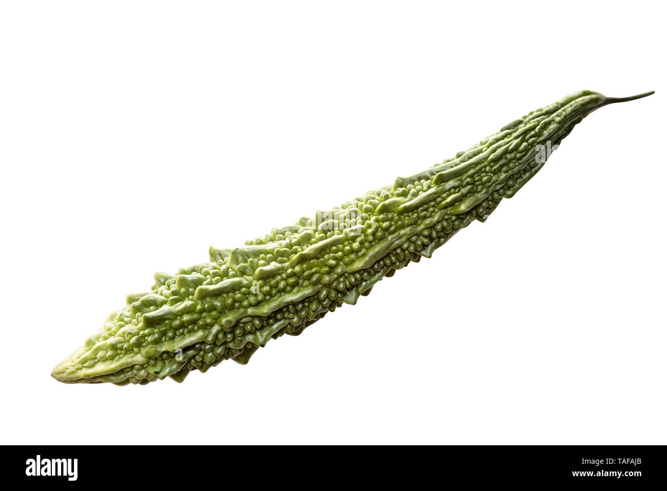 An Overhead View Of Whole Green Bitter Gourd On White Background Stock ...