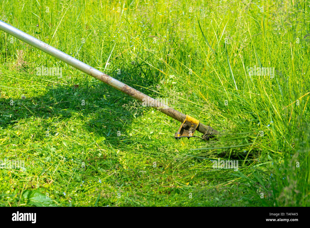 The gardener cutting grass by lawn mower, lawn care. Nature Stock Photo ...