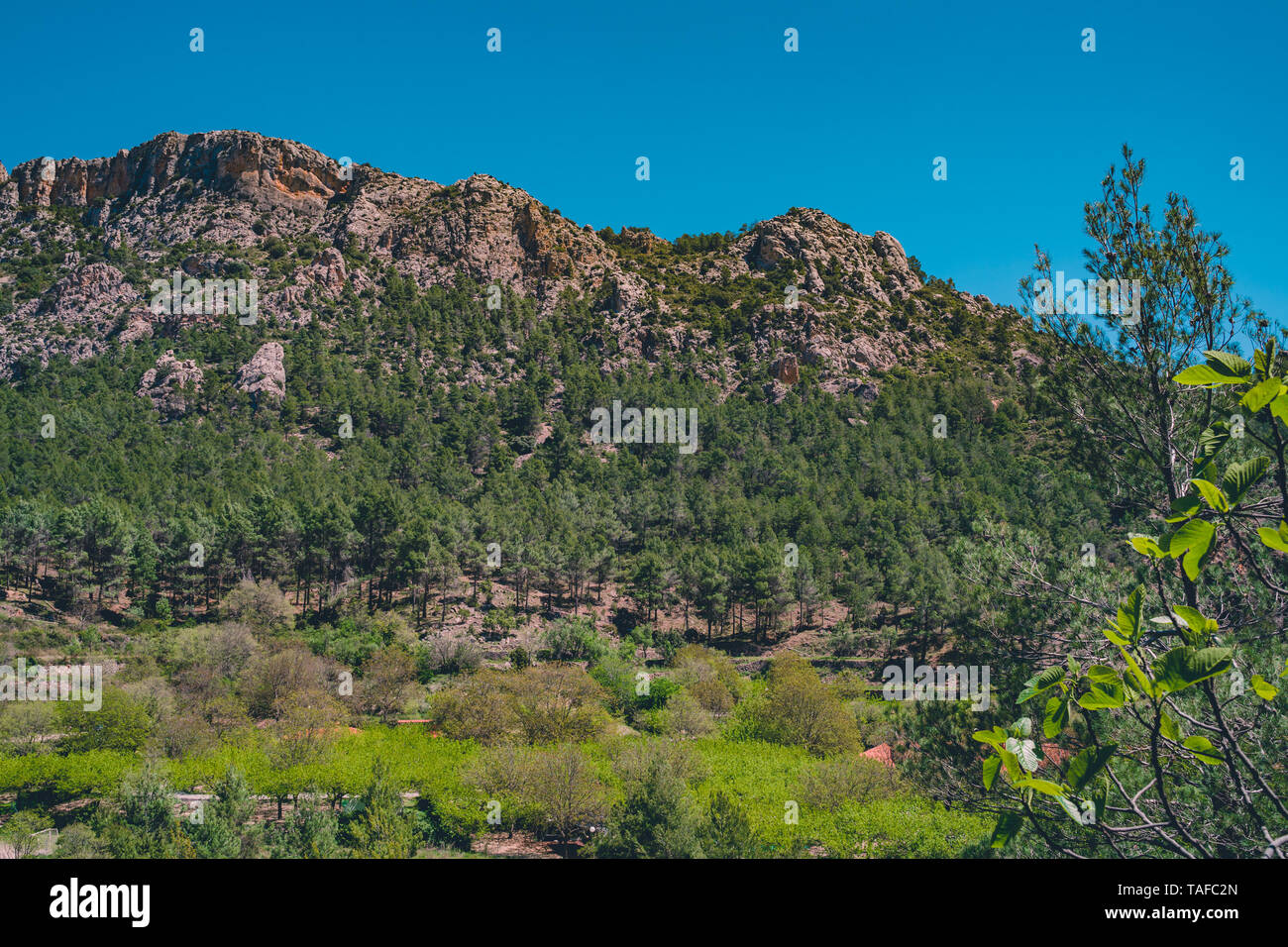 Spanish scenery,hills and blue sky. Mediterranean landscape, woods and ...
