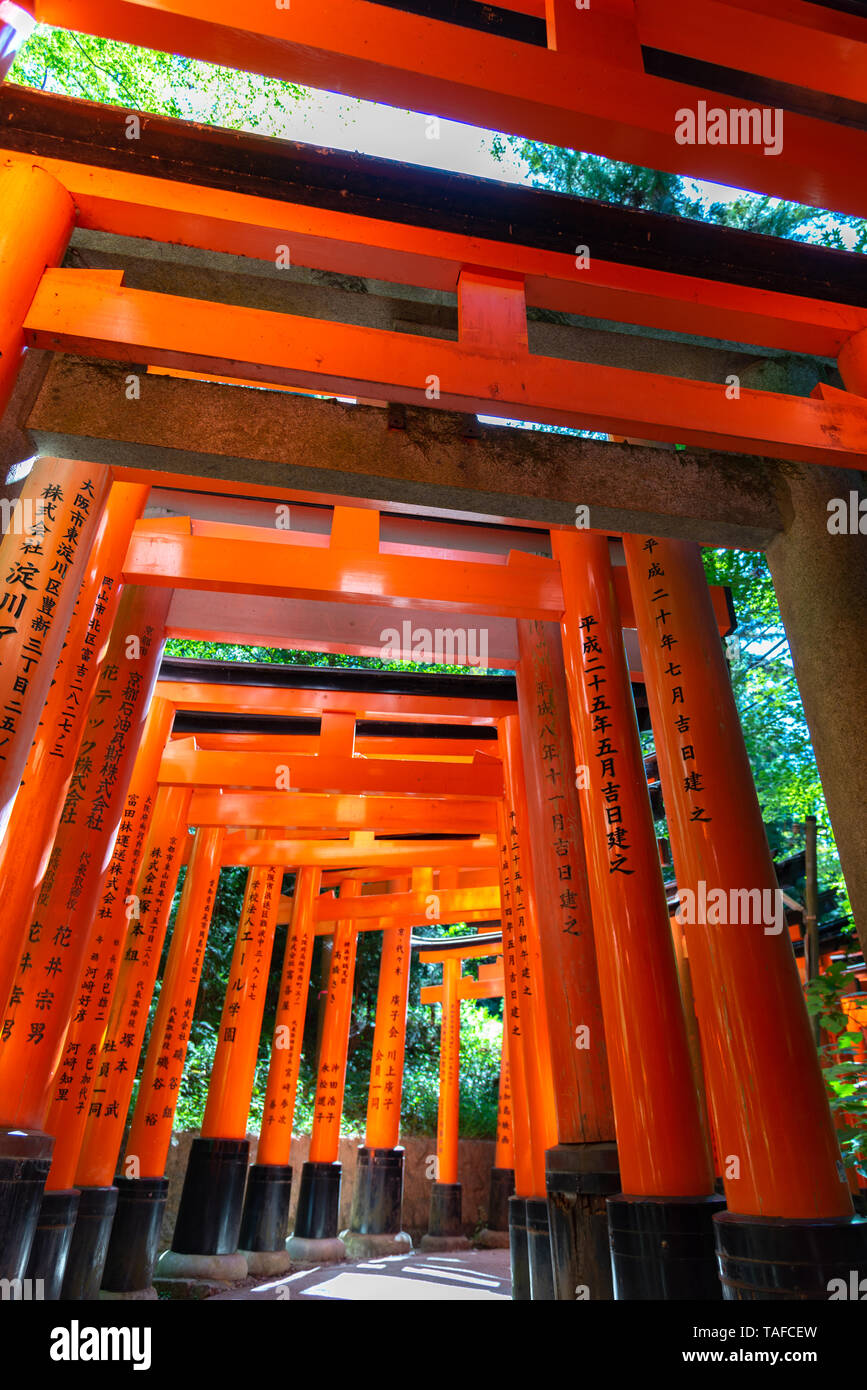 Fushimi Inari-taisha Shrine. Thousands countless vermilion Torii gates ...