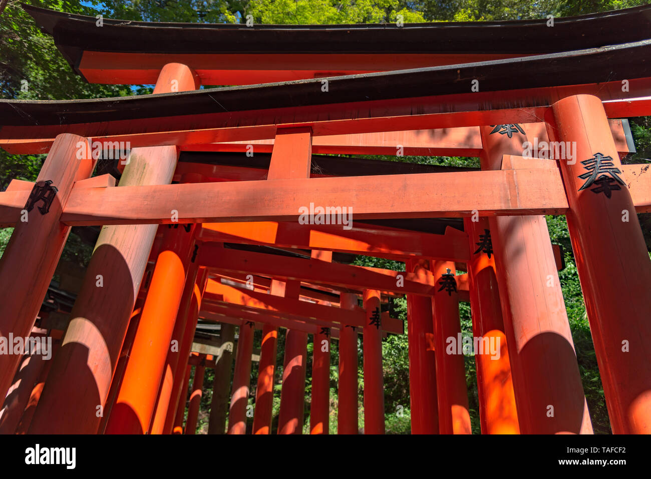 Fushimi Inari-taisha Shrine. Thousands countless vermilion Torii gates ...
