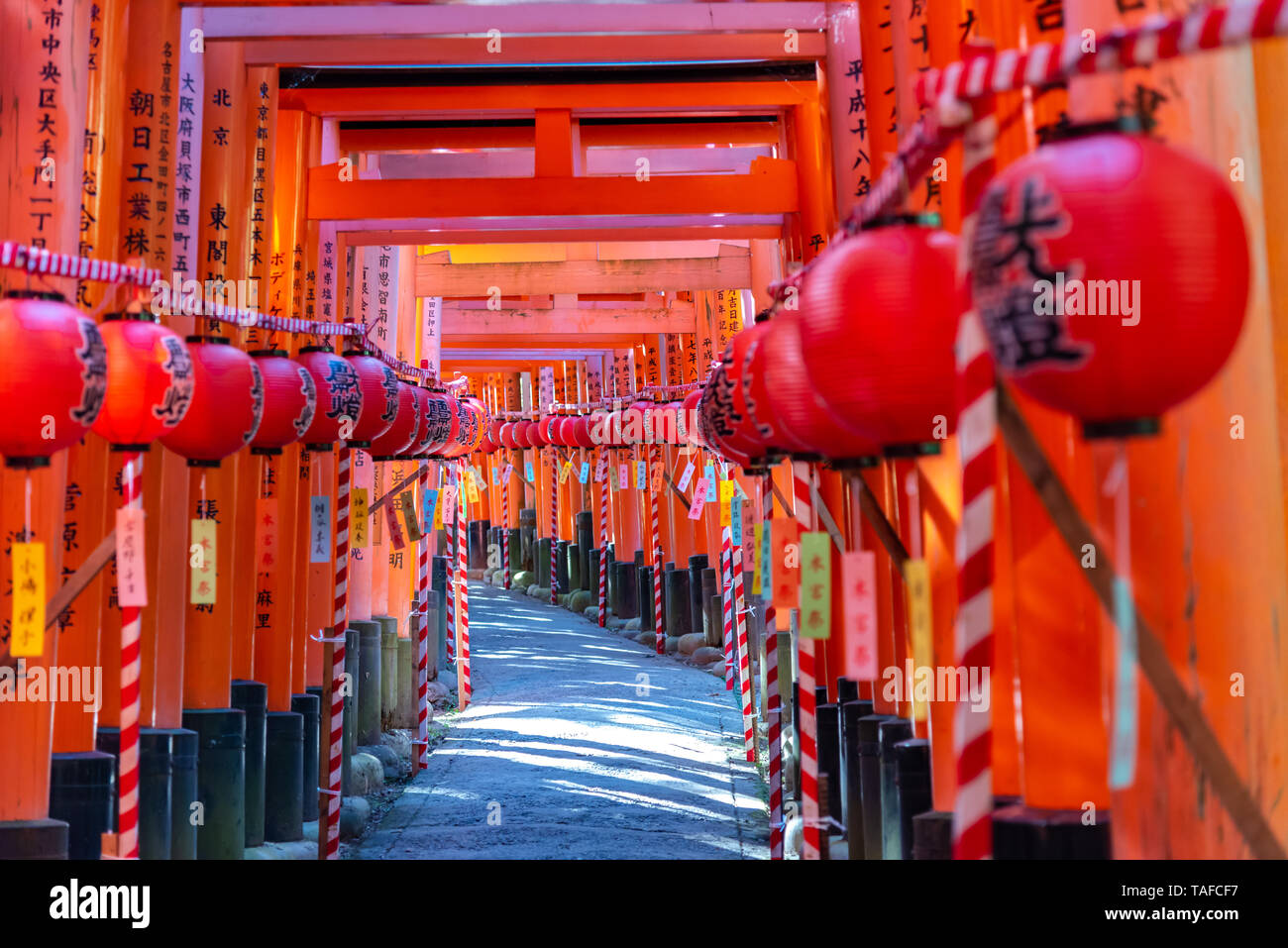 Fushimi Inari-taisha Shrine. Thousands countless vermilion Torii gates ...