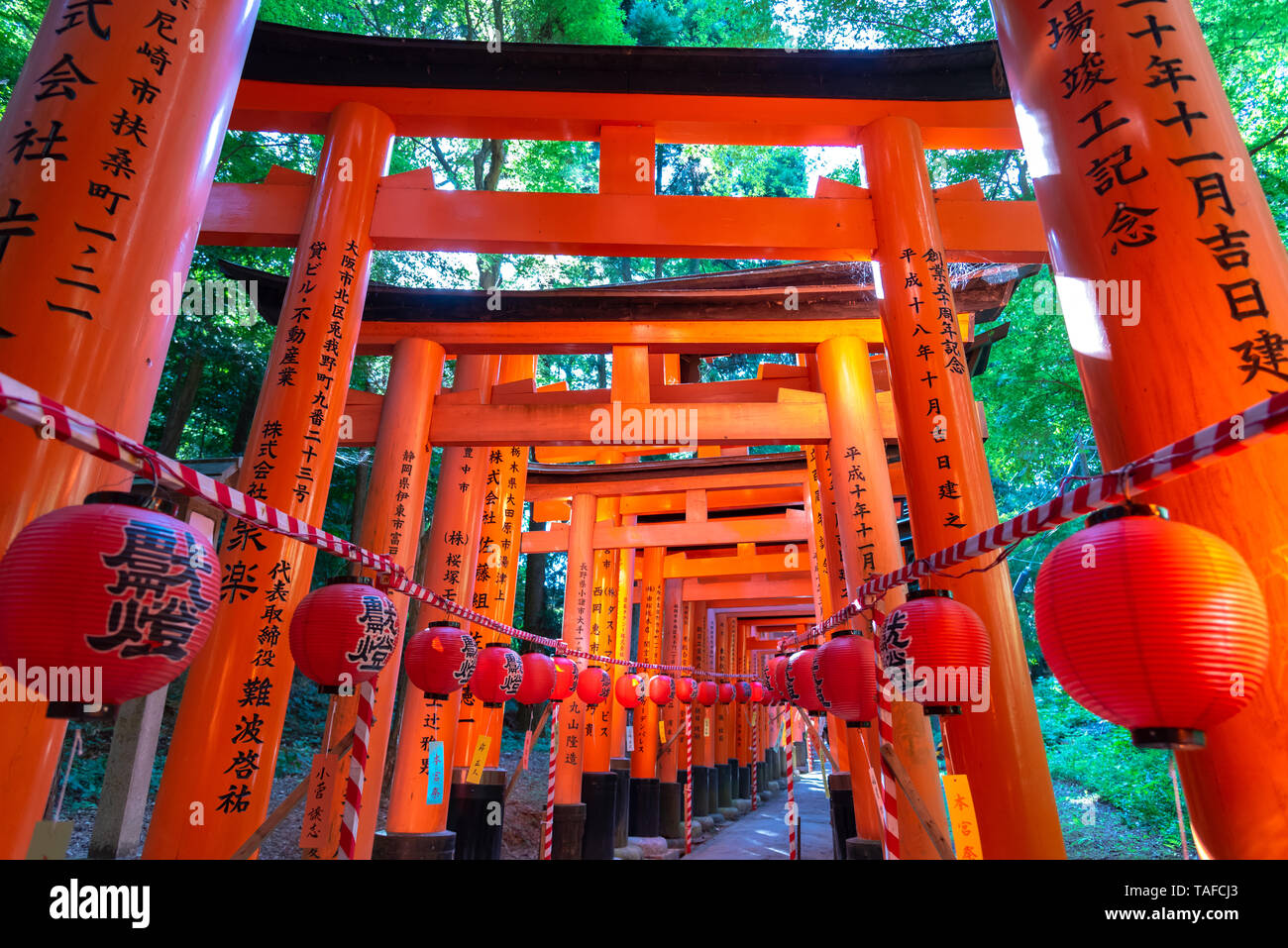 Fushimi Inari-taisha Shrine. Thousands countless vermilion Torii gates ...