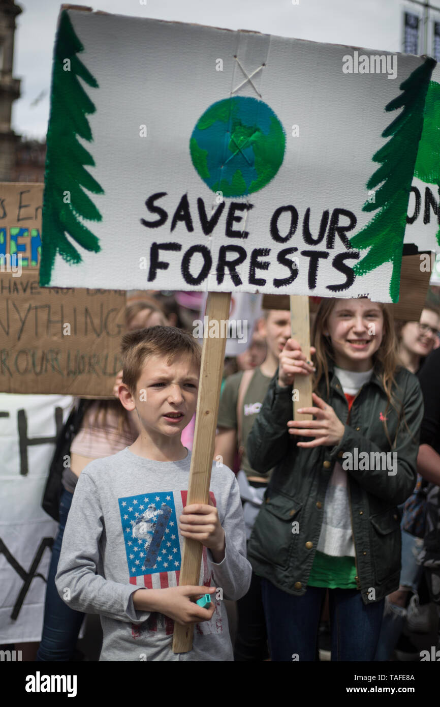 Deforestation protest hi-res stock photography and images - Alamy