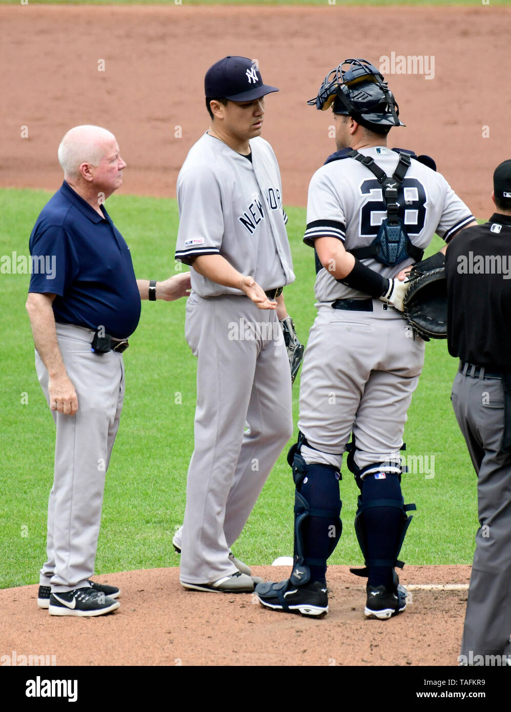New york yankees trainer steve donohue hi-res stock photography and ...