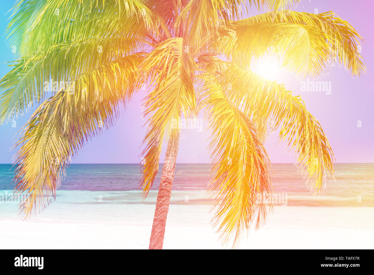 Retro sun palm trees hi-res stock photography and images - Alamy