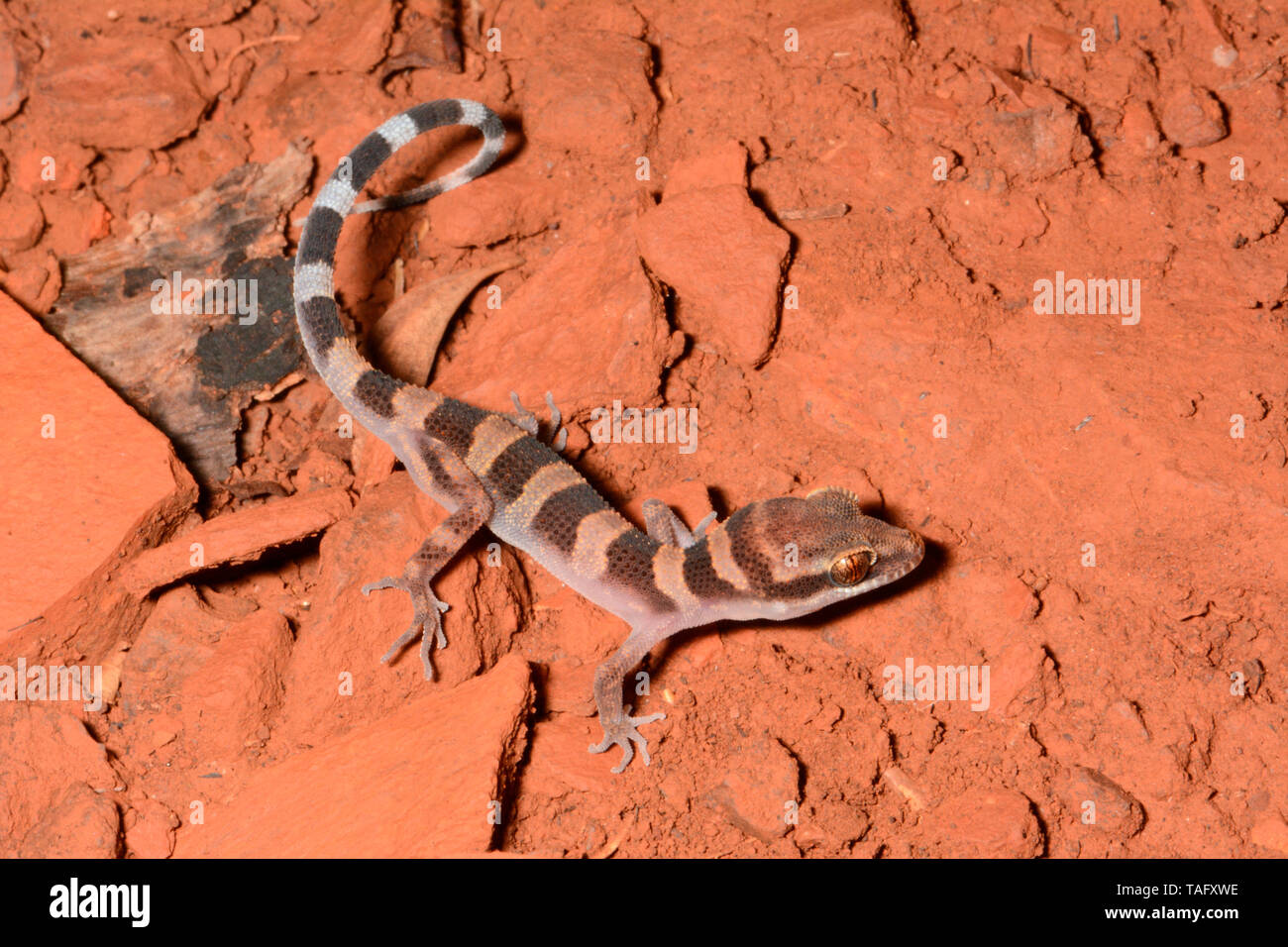 Karijini national park cave hi-res stock photography and images - Alamy