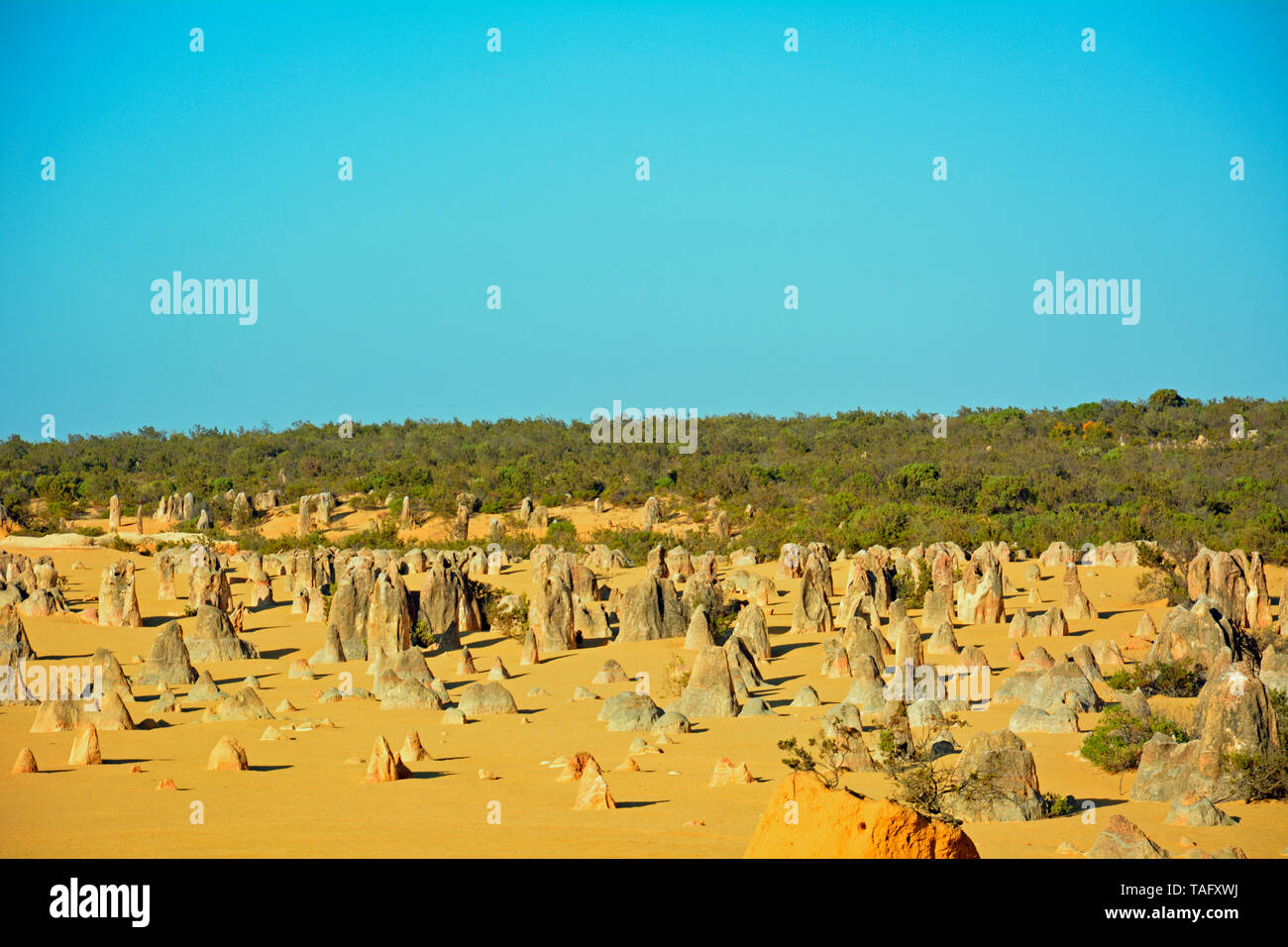 Pinnacles Desert, Nambung national park, WA, Australia Stock Photo - Alamy