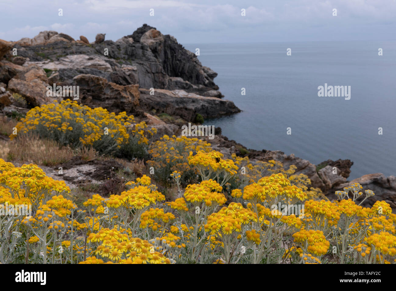 Parque natural del cabo de creus hi-res stock photography and images ...