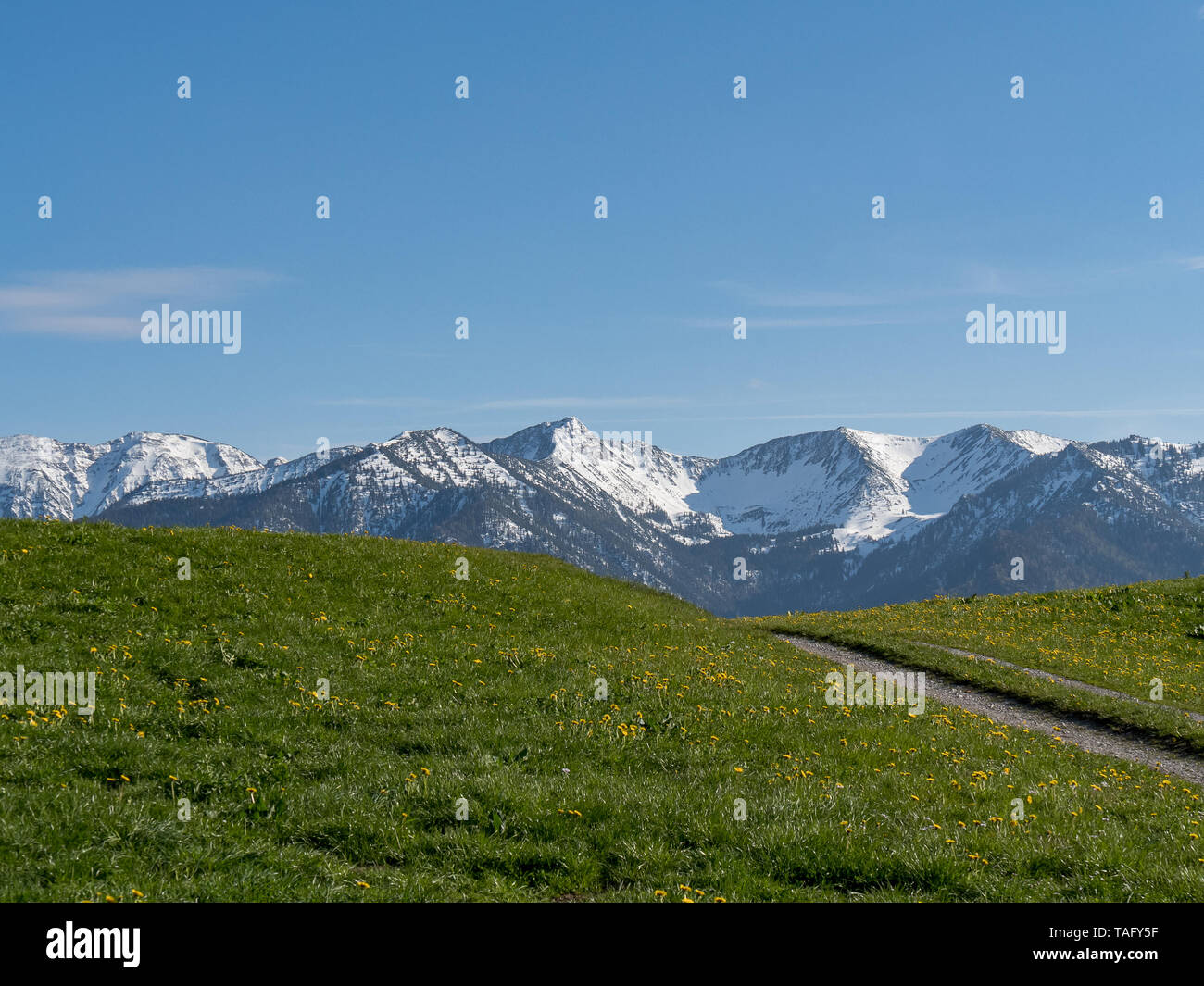 Bavarian alpine countryside hi-res stock photography and images - Alamy