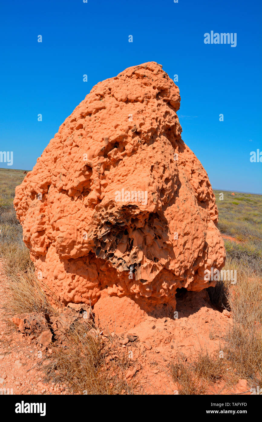 Termite mound (Isoptera sp), Karijini National Park, WA, Australia ...