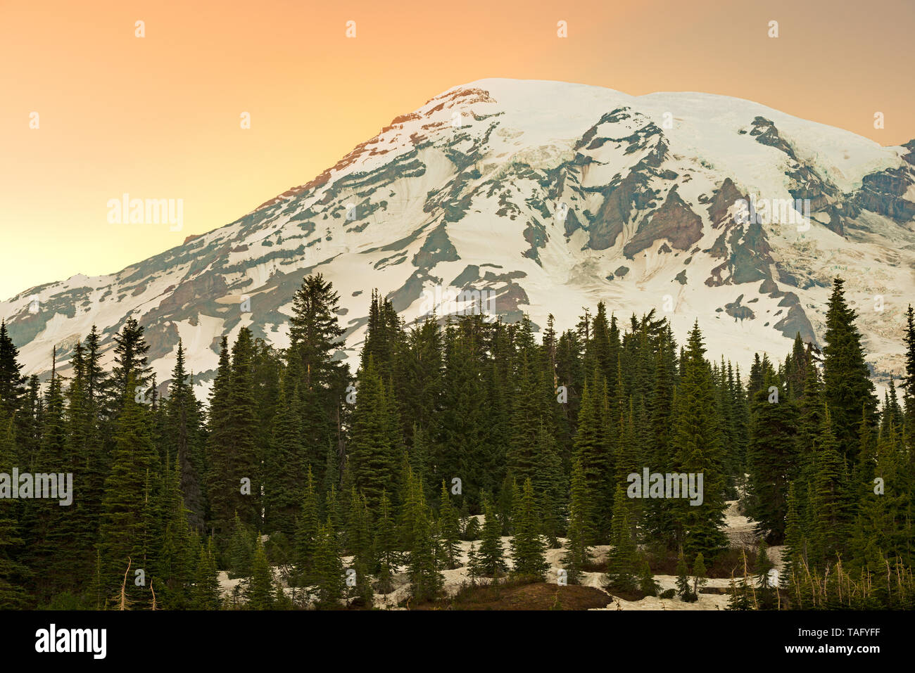 Mount Rainier summit and Paradise area at Mount Rainier National Park ...