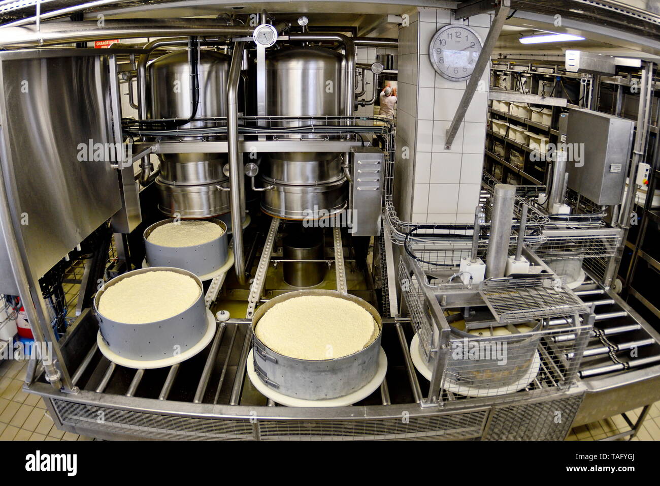 Morbier cheese making, Cheese factory, Damprichard, Doubs, France Stock ...