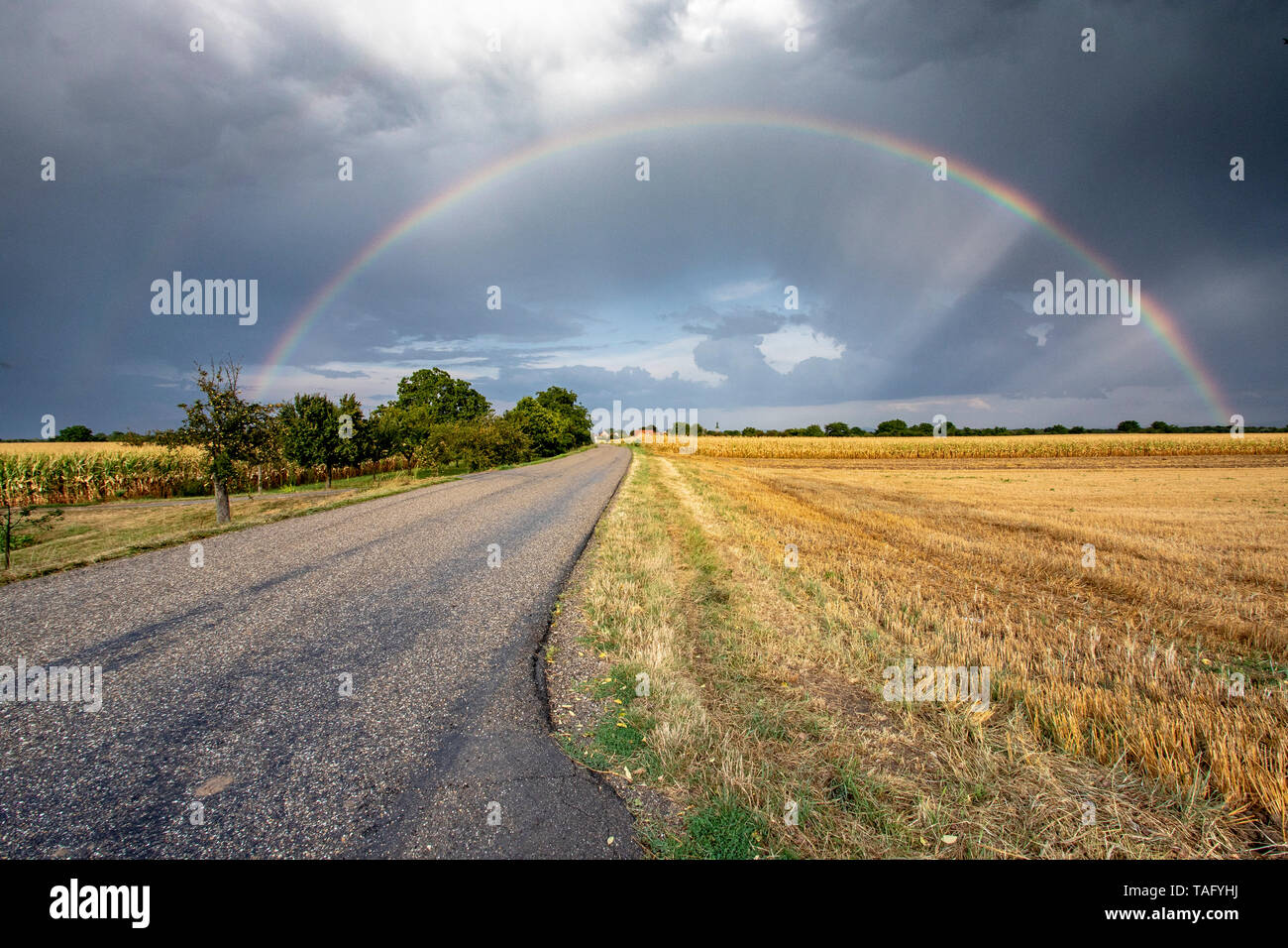 Rainbow over fields in summer, Nordhouse, Alsace, France Stock Photo ...