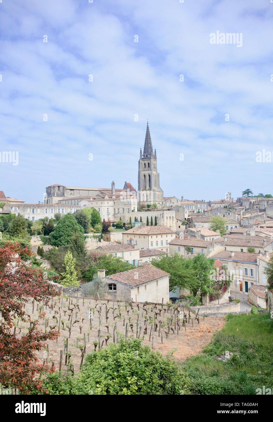 Village of Saint Emilion, vineyard registered in 1999 by UNESCO World ...