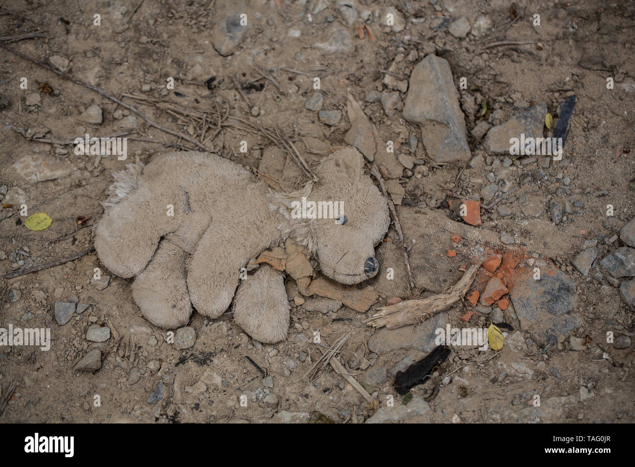 Old toy abandoned on ground. Teddy bear in dust. End of childhood ...