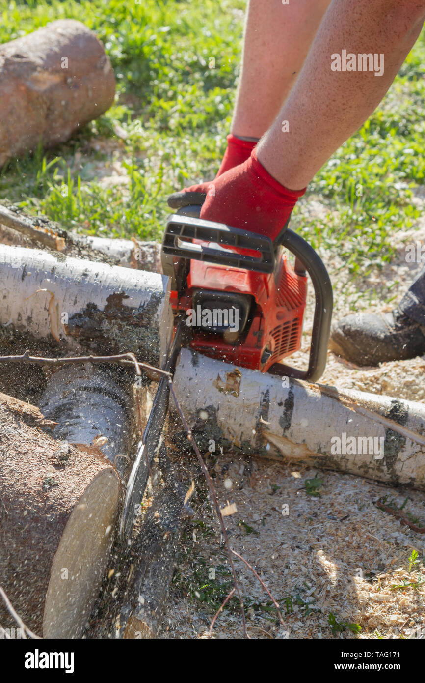 Cut the logs with a chainsaw to prepare firewood Stock Photo - Alamy