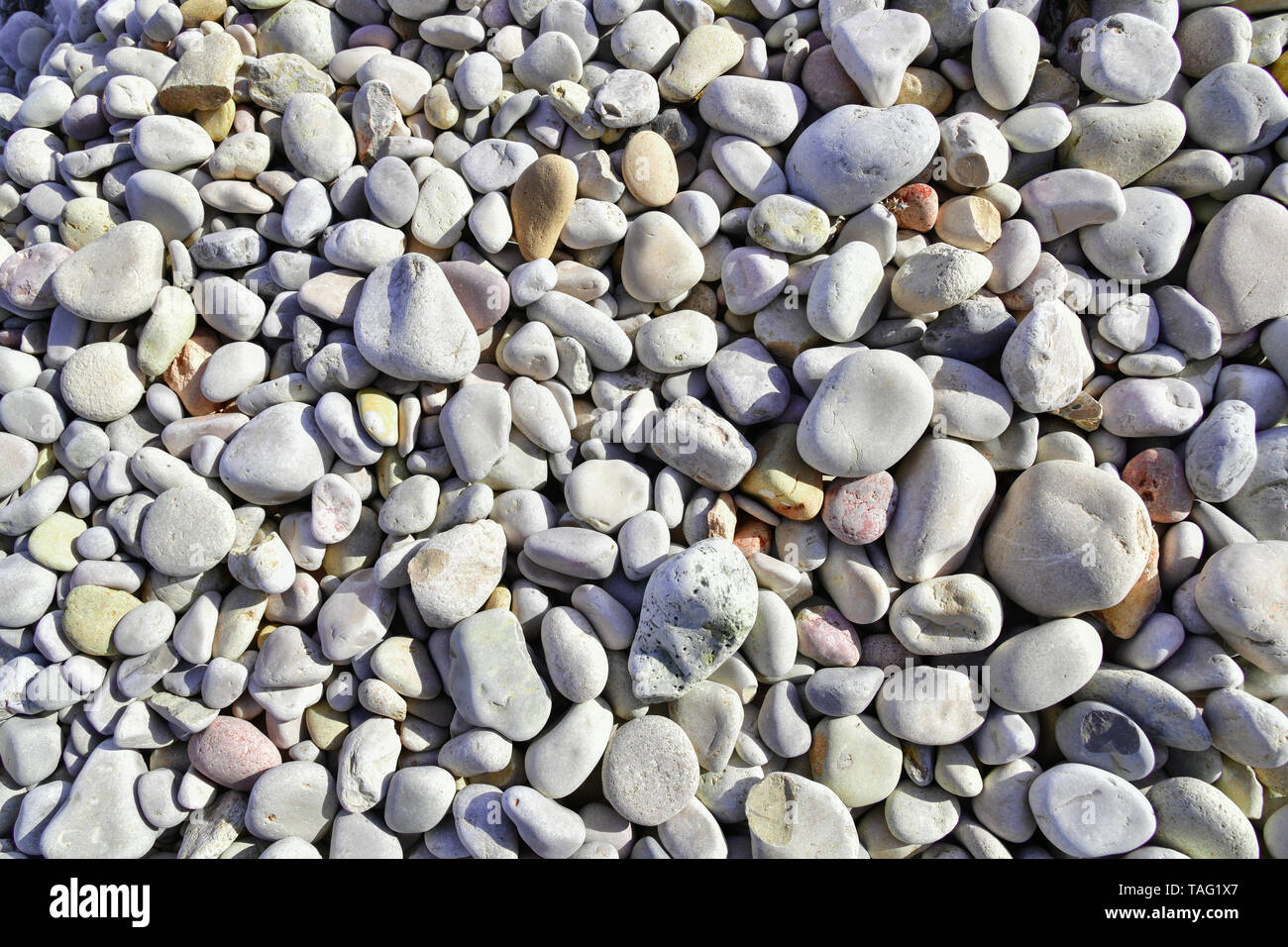 Colors sea pebbles background in the cost Stock Photo - Alamy