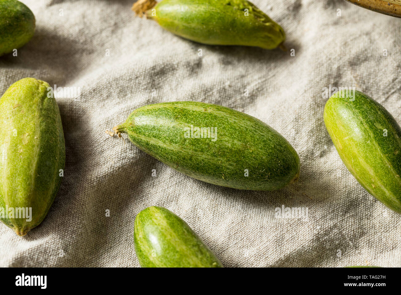 Parval High Resolution Stock Photography and Images - Alamy