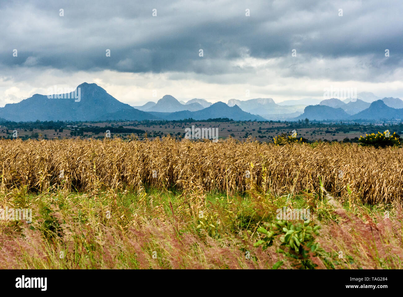 a range of mountains seen in the distance above field upon field of ...