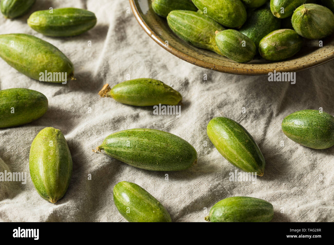 Parval hi-res stock photography and images - Alamy
